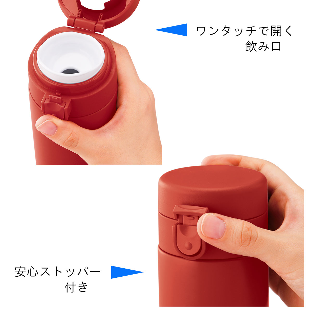 真空二重構造 セルトナ ワンタッチ式ステンレスボトル 430ml | 記念品名入れ工房
